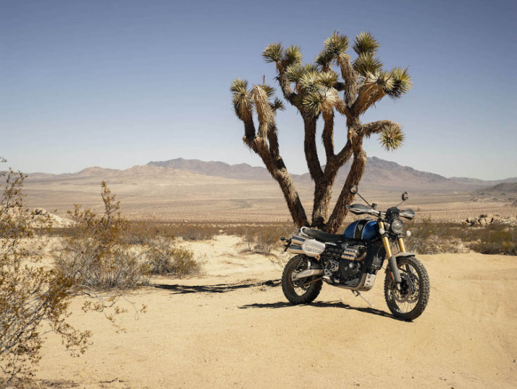 5 Best Scrambler Motorcycles 2024 » Renchlist